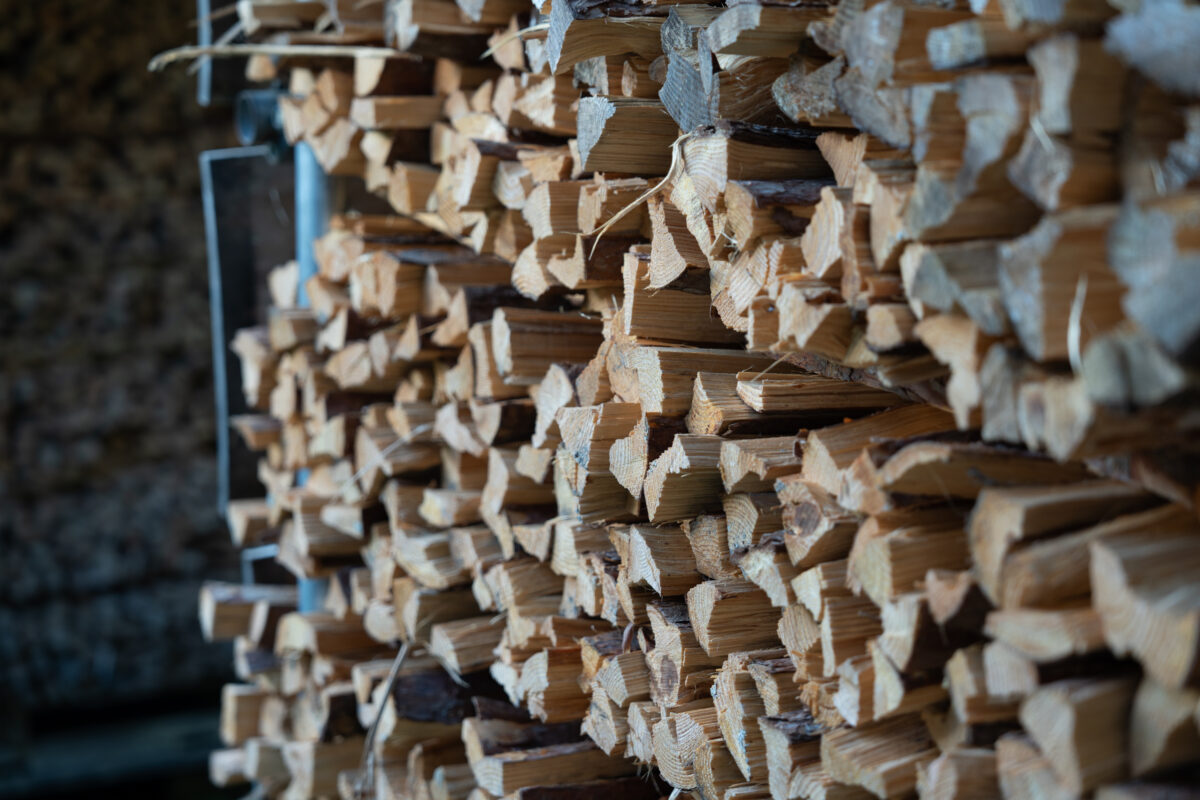 The World of Nushi - HULS GALLERY TOKYO | Japanese Crafts